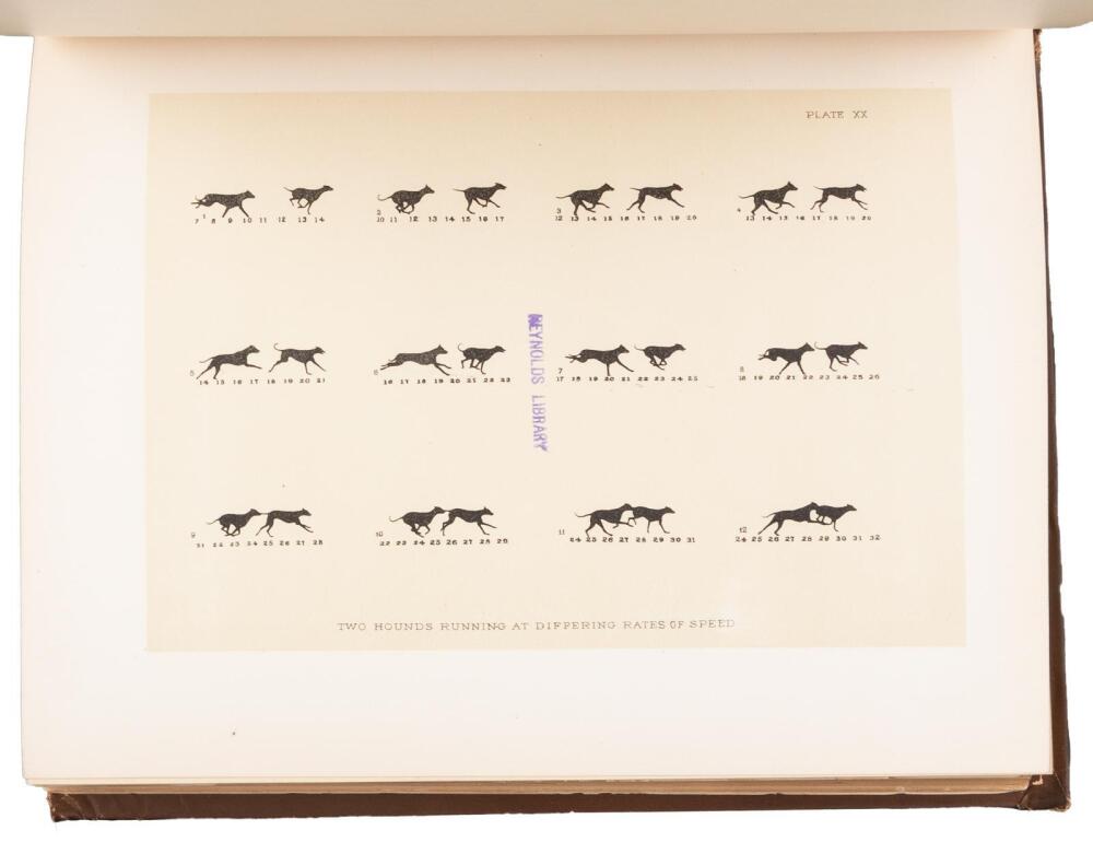 The Horse in Motion as Shown by Instantaneous Photography, with a Study ...