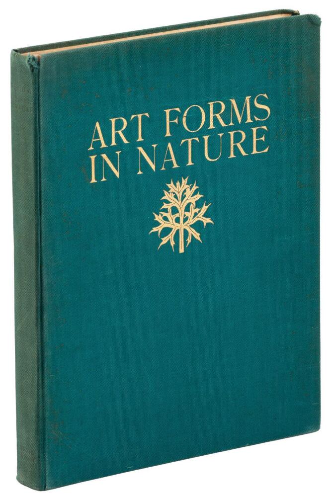 Art Forms in Nature: Examples from the Plant World Photographed Direct ...