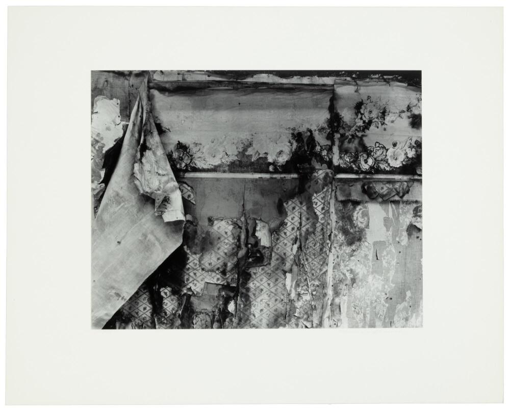 Five photographs by Harrison Branch