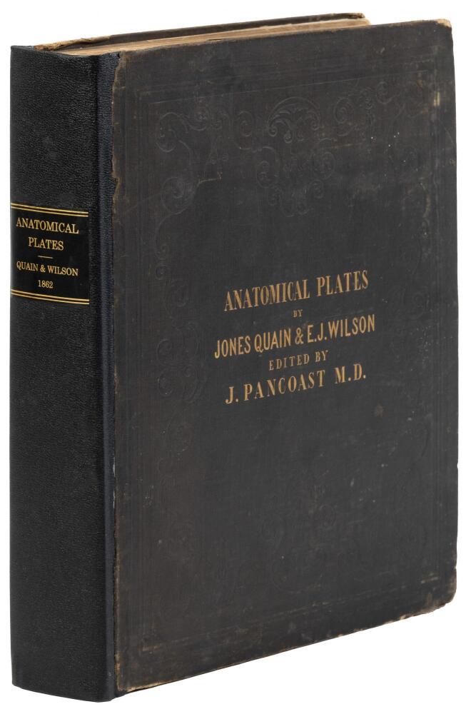 A Series of Anatomical Plates; with References and Physiological ...