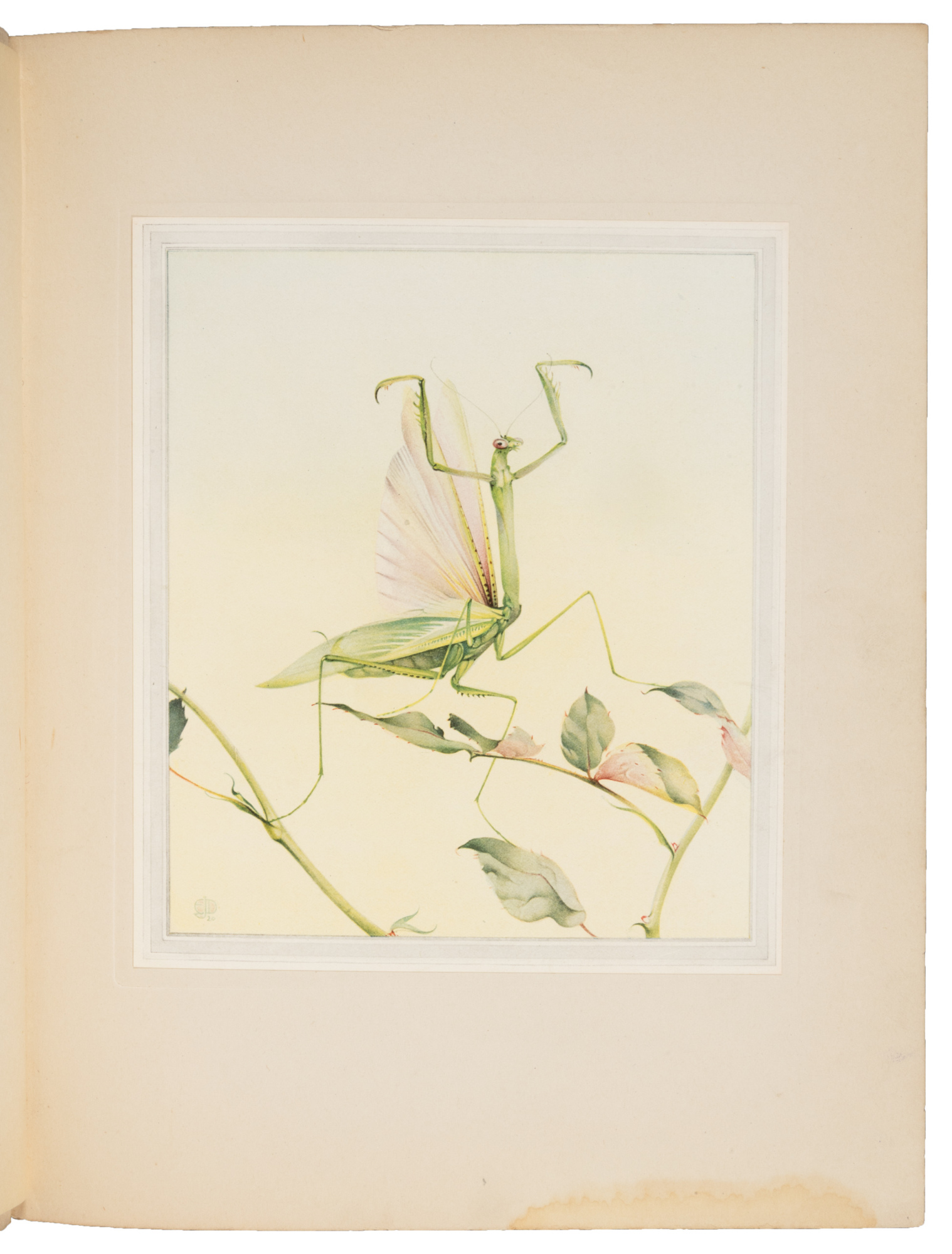 Fabre's Book of Insects