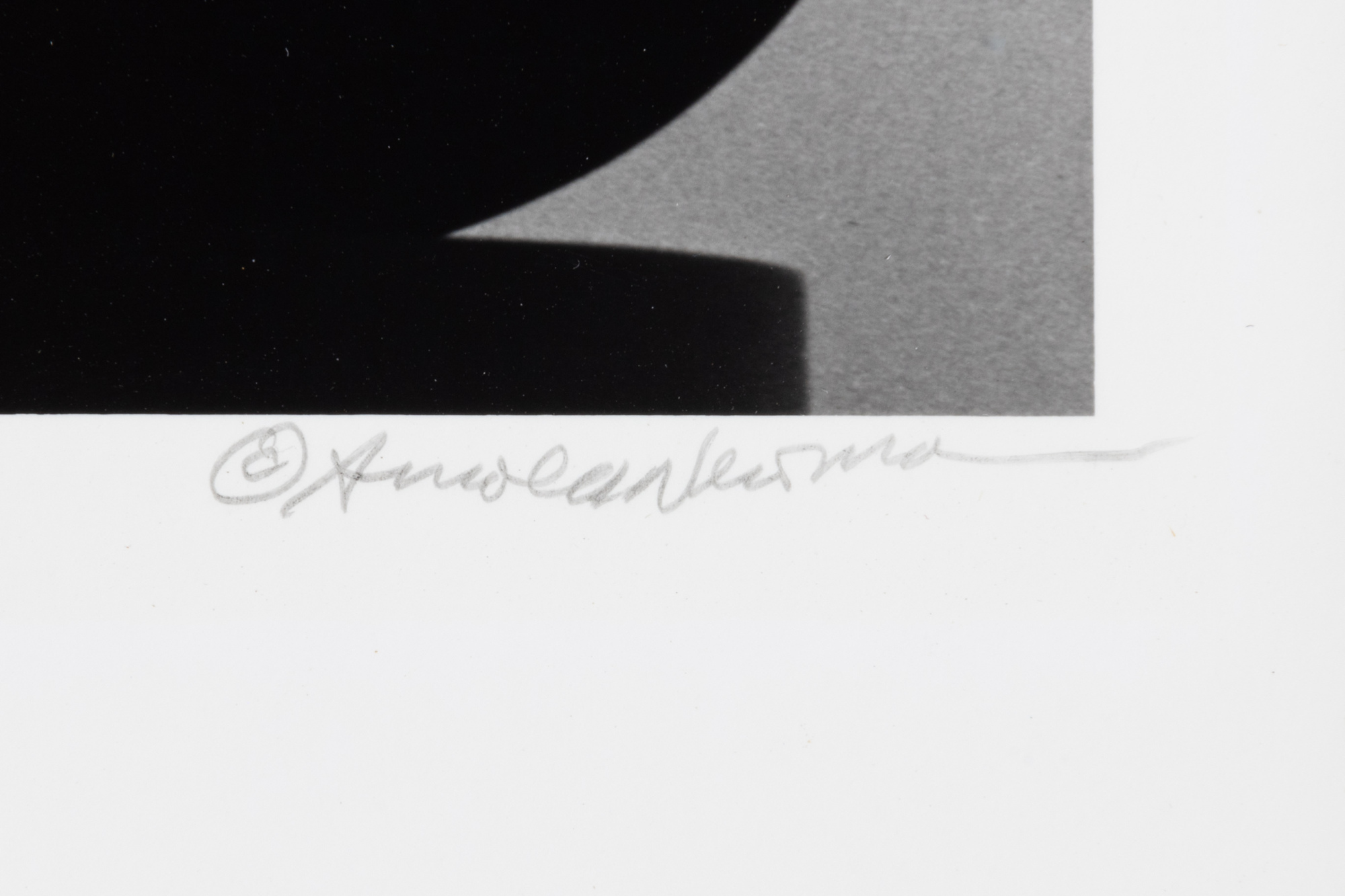 Igor Stravinsky, 1946