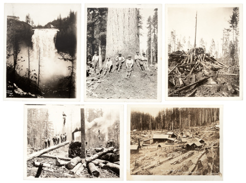 Eight Darius Kinsey logging photographs with seven additional ...