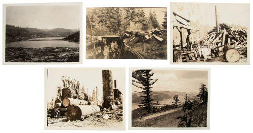 Eight Darius Kinsey logging photographs with seven additional ...