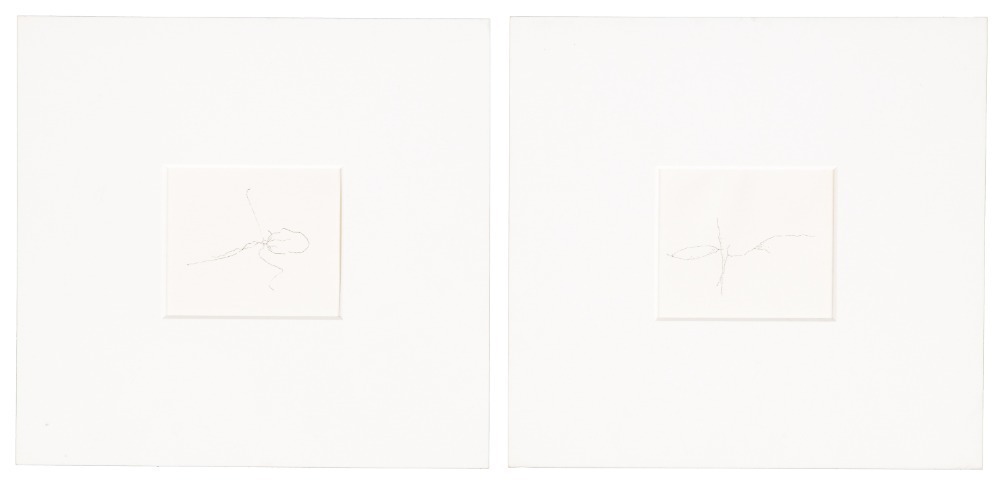 Linear Poems by Robert B. Nash: Original Line Drawings