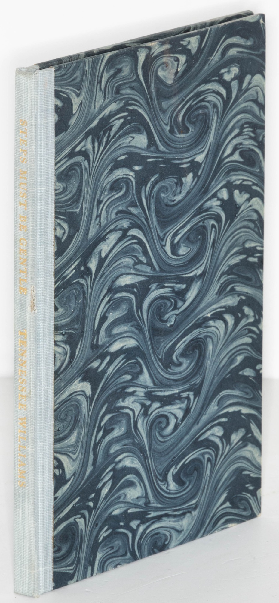 Steps Must Be Gentle: A Dramatic Reading for Two Performers