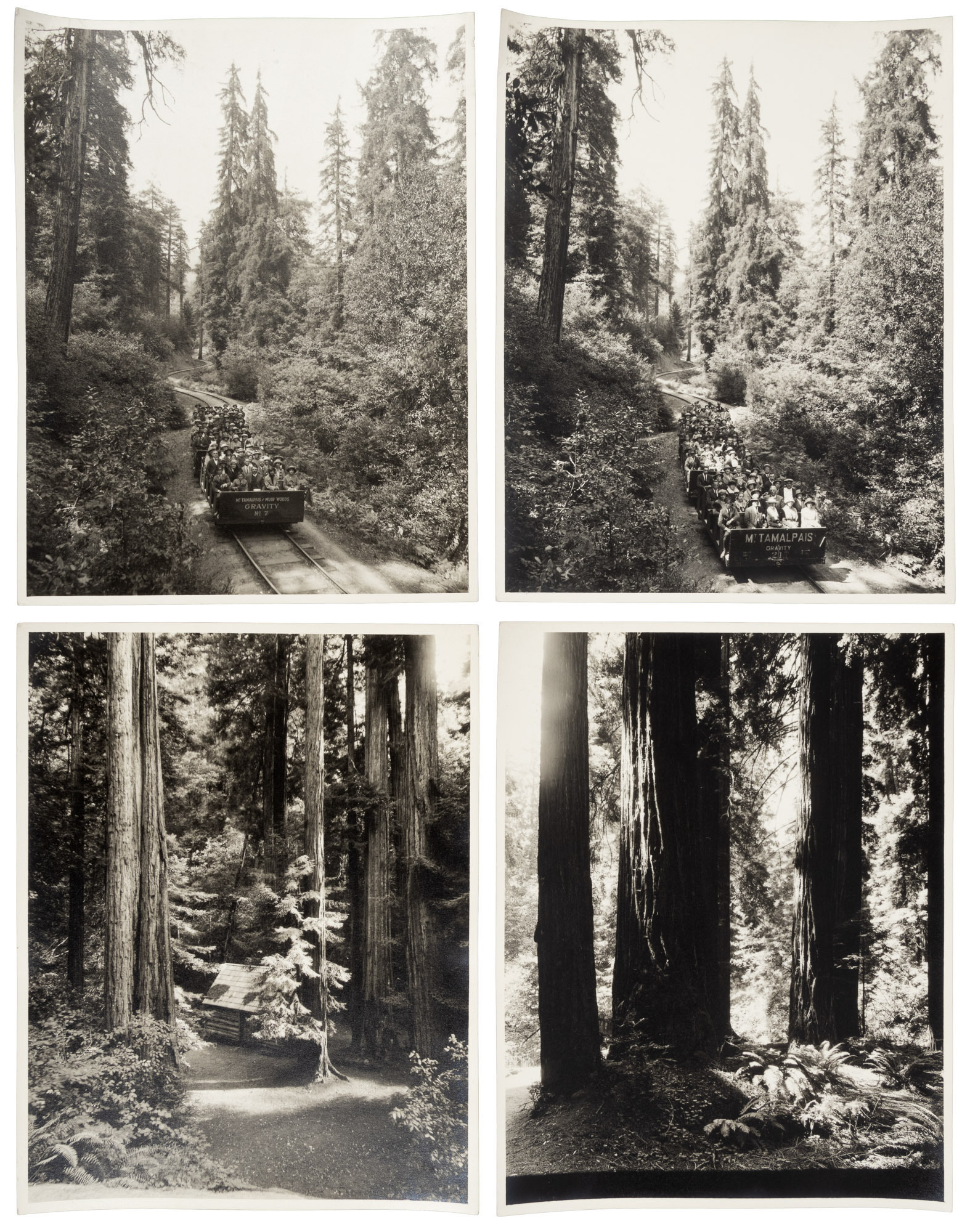 Seven photographs of Muir Woods and the Mt. Tamalpais Gravity Train