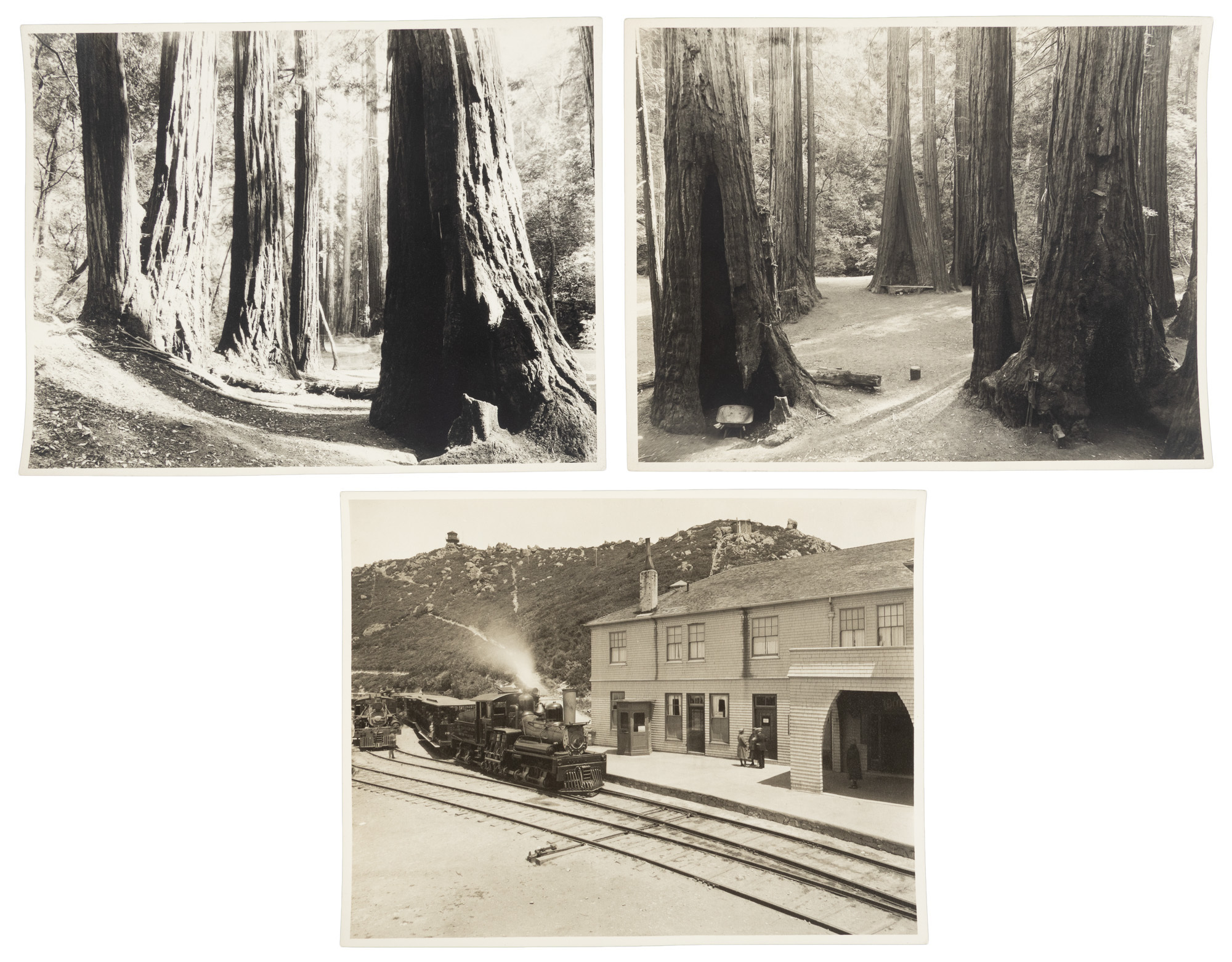 Seven photographs of Muir Woods and the Mt. Tamalpais Gravity Train