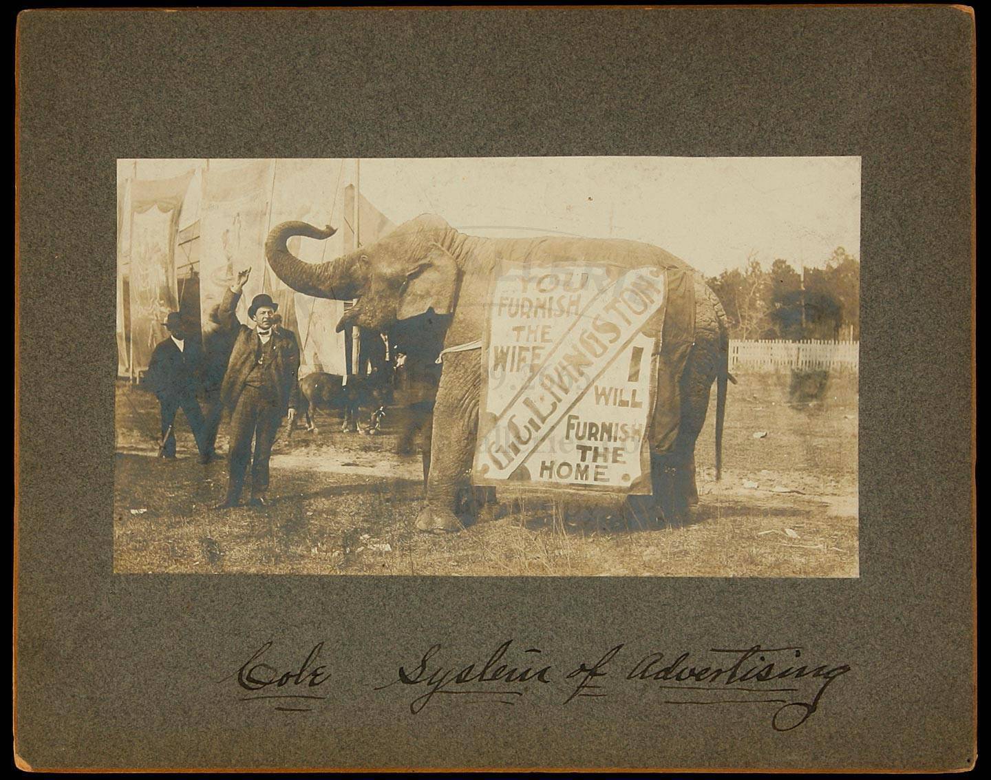 Large archive of circus photographs from the collection of Bert Cole