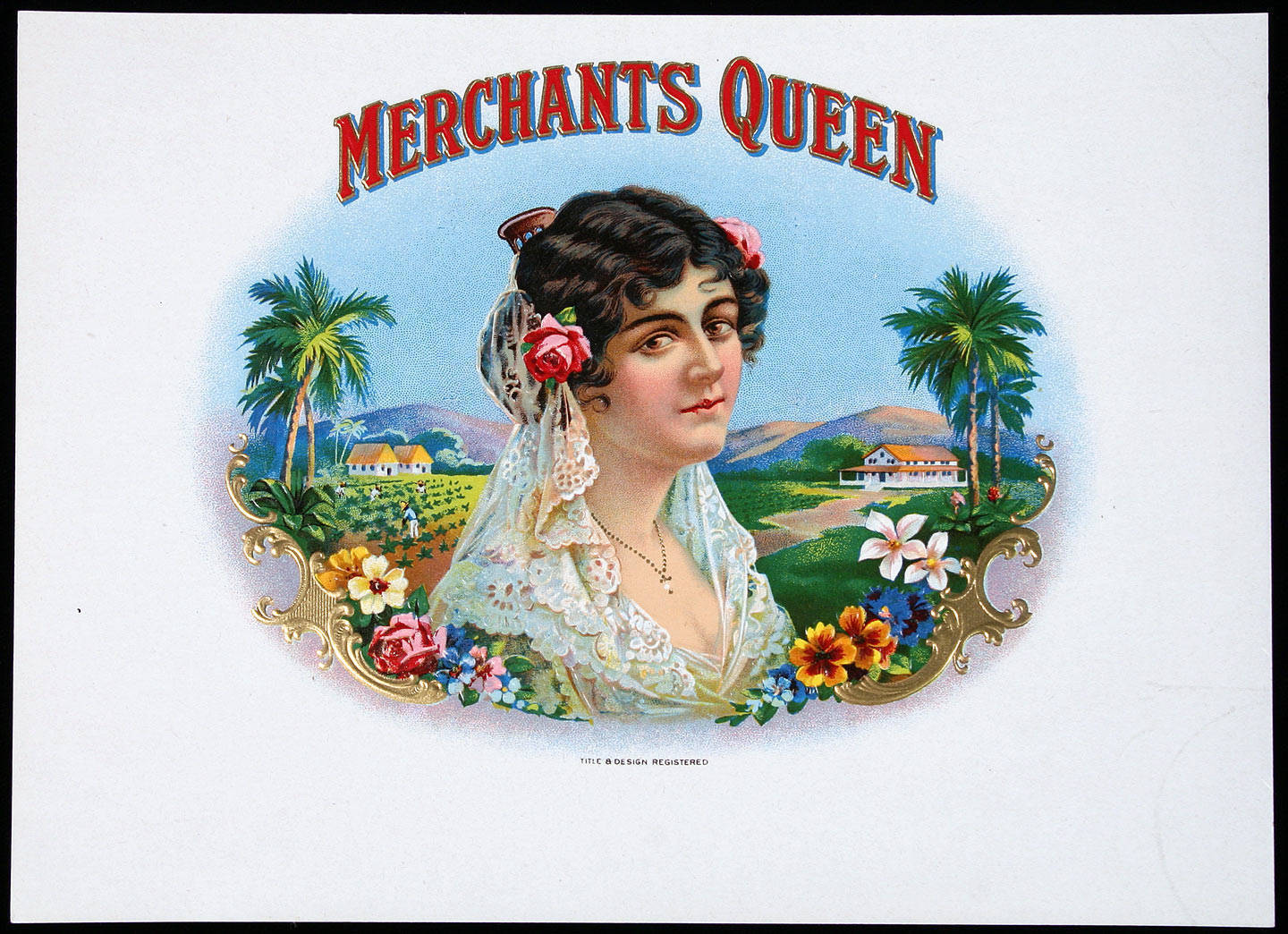 Collection of Approximately 650 Cigar Box Labels