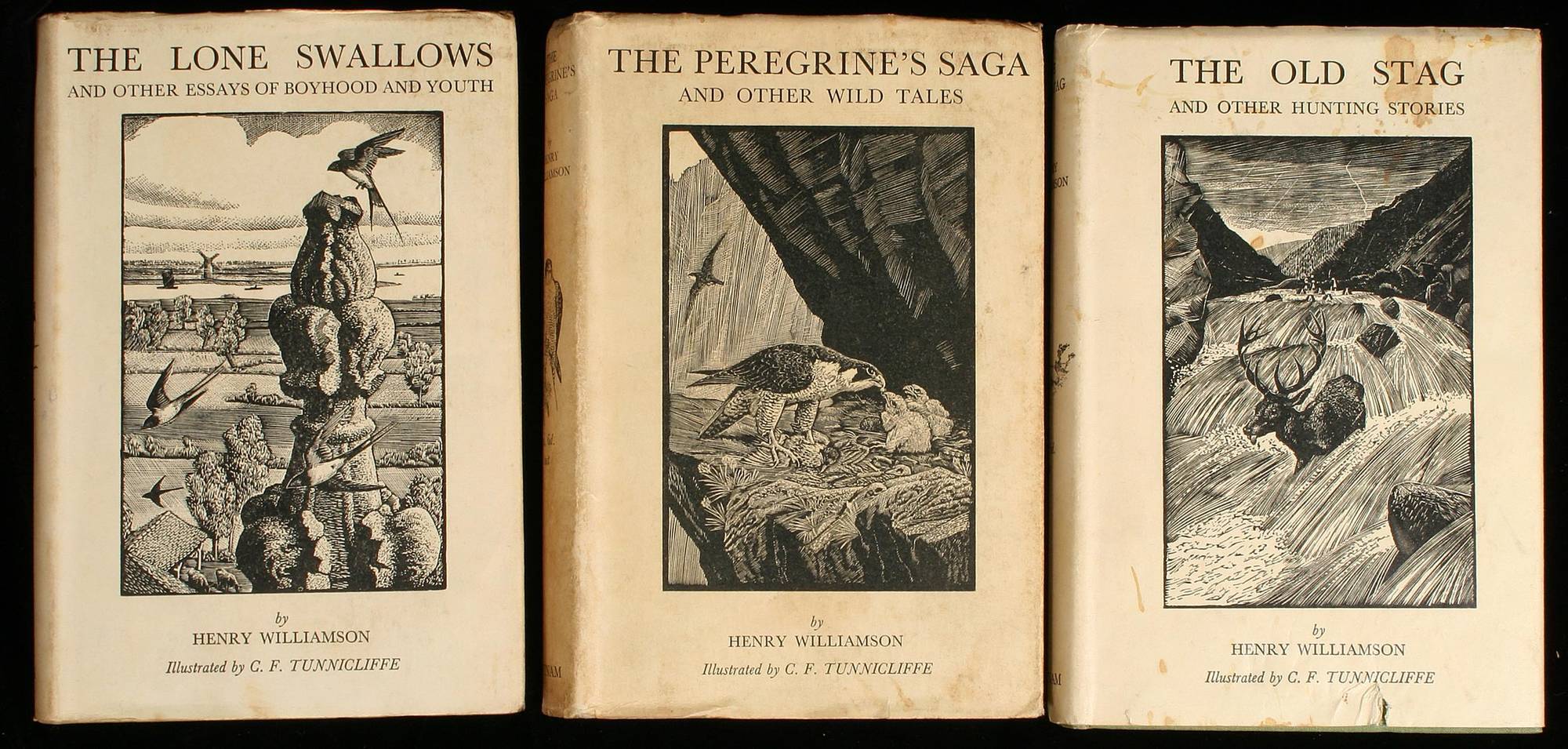 (3 books) The Old Stag; The Peregrine's Saga; The Lone Swallows